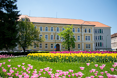 Galerie foto - Corpuri de clădire